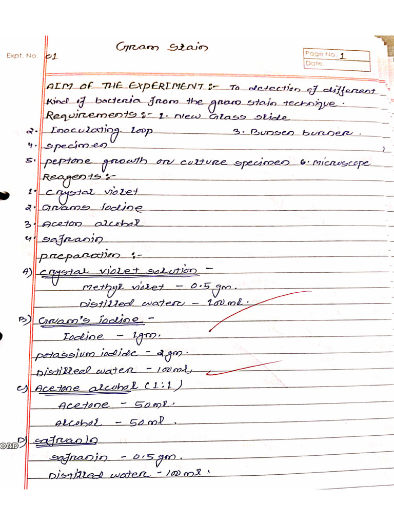 Microbiology Practical | PDF