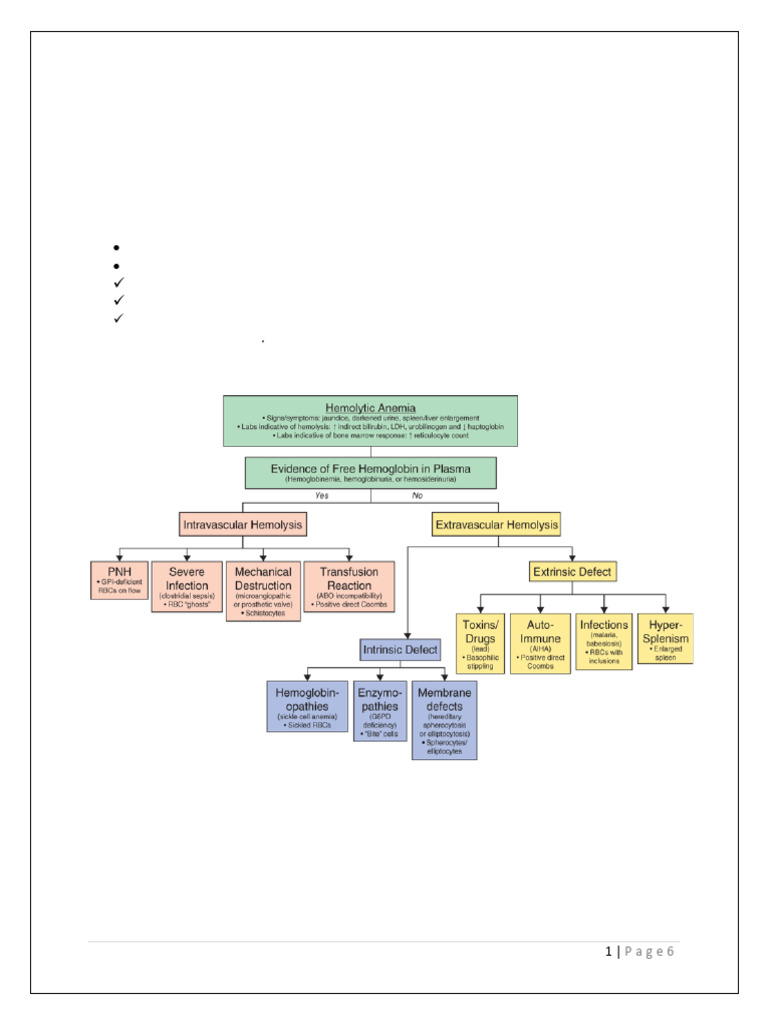 Practical No 16 Hemolytic Anemia and Bone Marrow Examination | PDF | Anemia | Bone Marrow