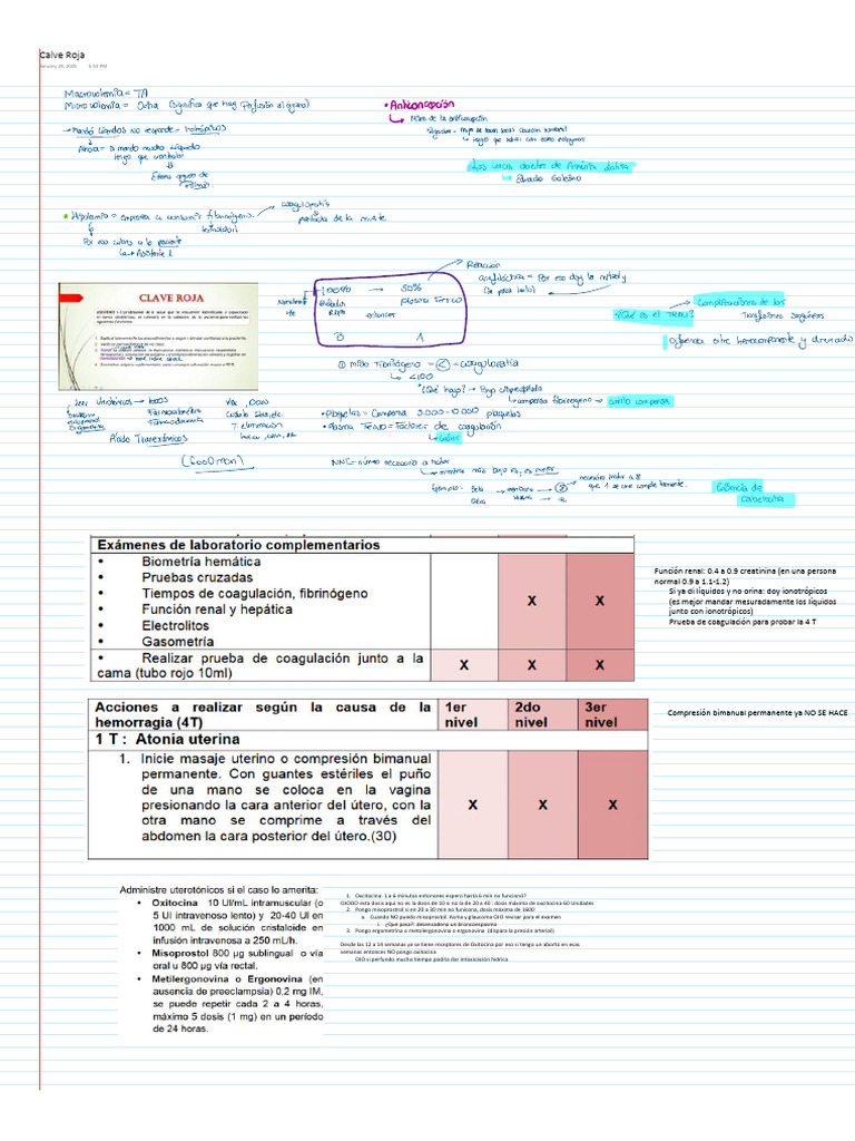 Clave ROJA | PDF | Placenta | Especialidades Medicas