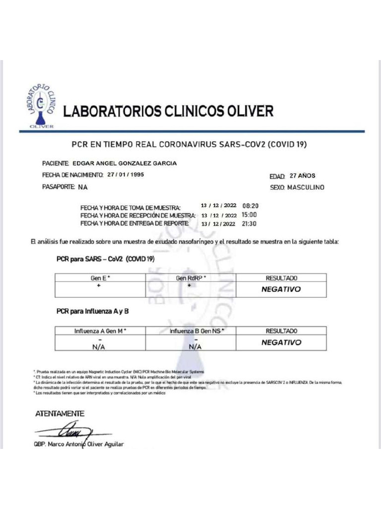 Prueba Influenza | PDF