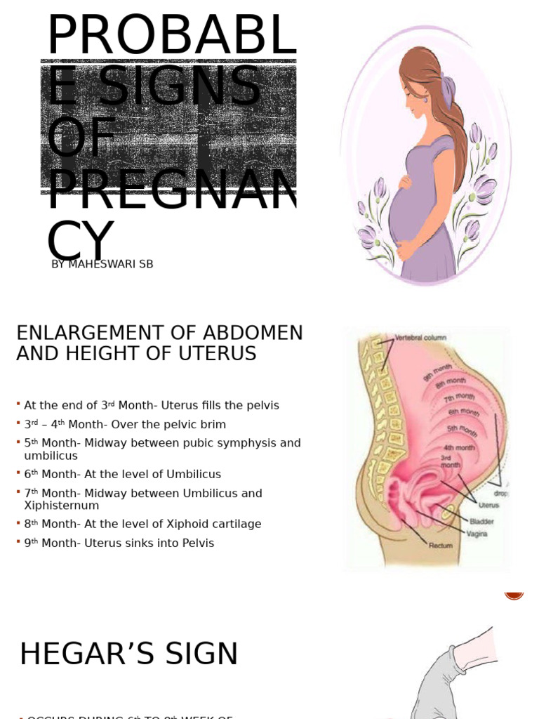 Probable Signs of Pregnancy | PDF