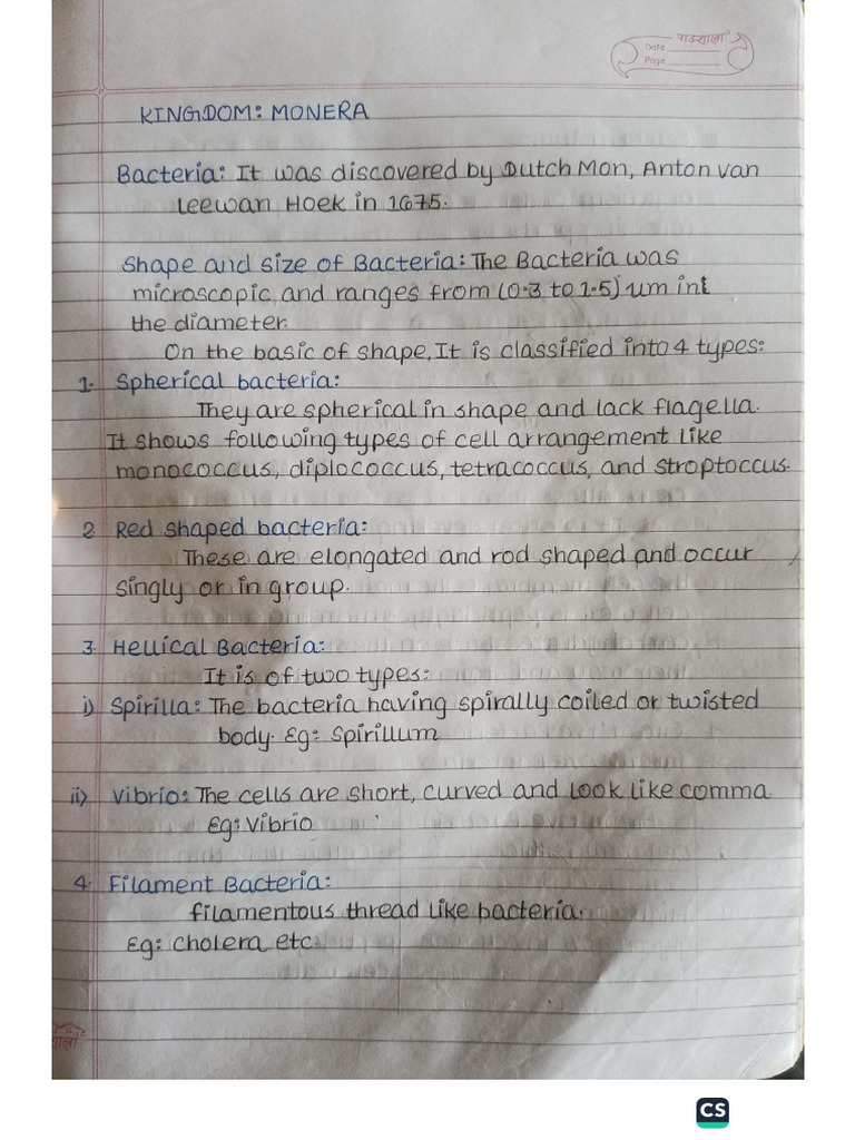 Kingdom Monera | PDF