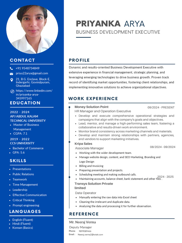 Blue Simple Professional CV Resume - 20241008 - 081320 - 0000 | PDF | Business Development ...