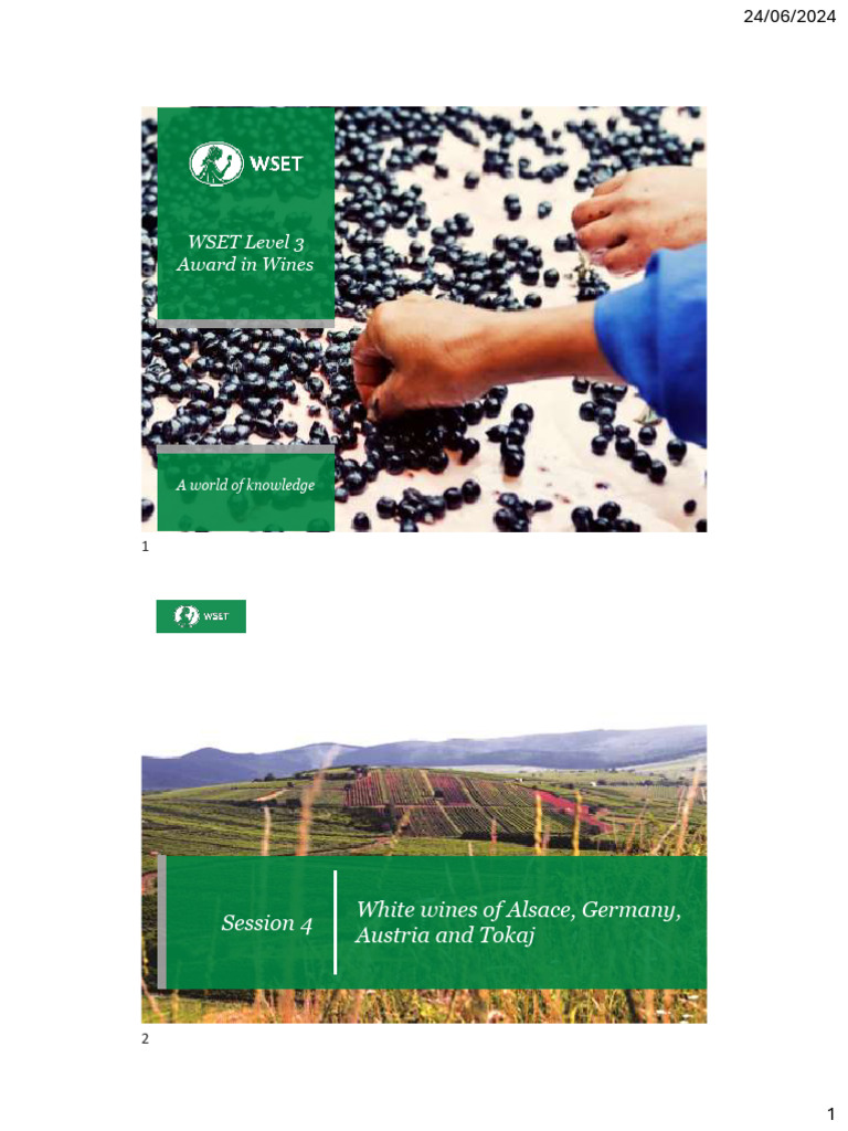 WSET Level 3: White Wines Guide | PDF | Grape | Viticulture