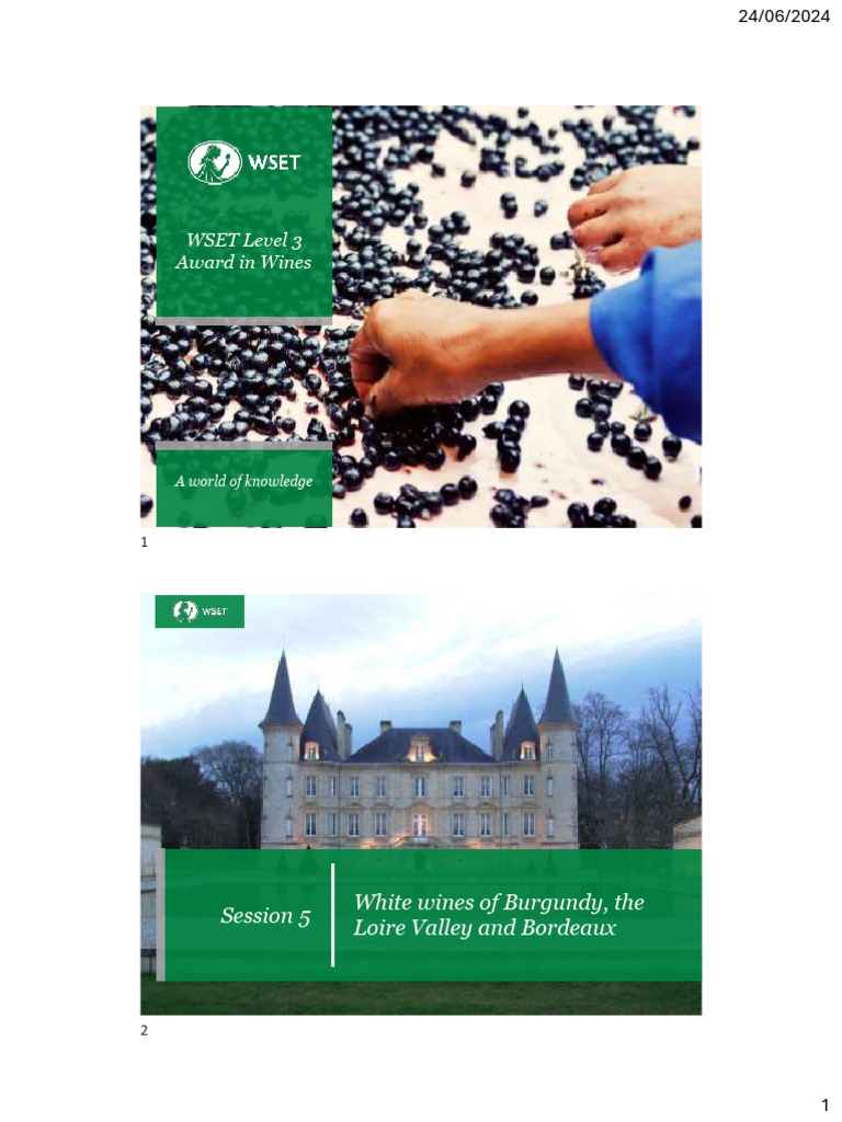 White Wines: Burgundy, Loire, Bordeaux | PDF | Wine | Grape
