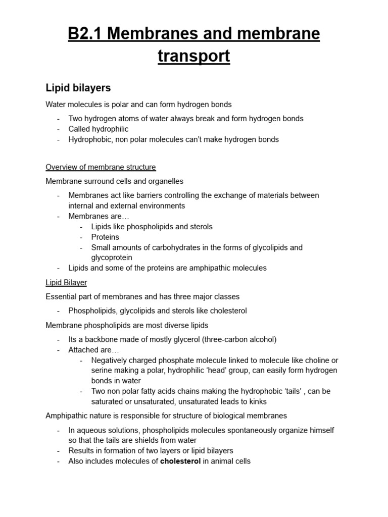 B2.1 Membranes and Membrane Transport | PDF | Cell Membrane ...