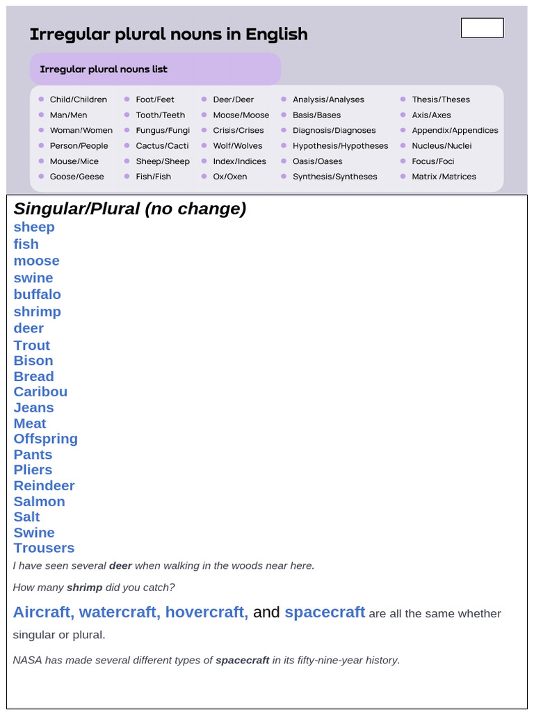 Irregular Nouns | PDF