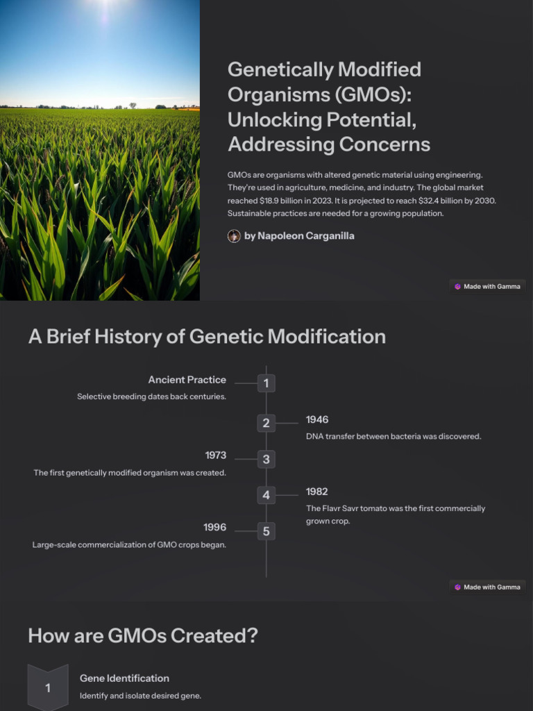 Understanding GMOs: Benefits and Risks | PDF | Genetically Modified ...