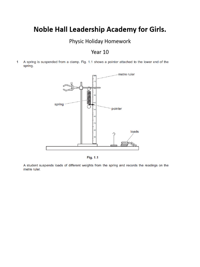 Year 10 Physics Holiday Homework | PDF