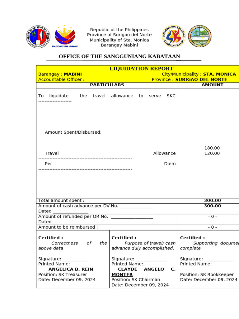 Liquidation Report | PDF
