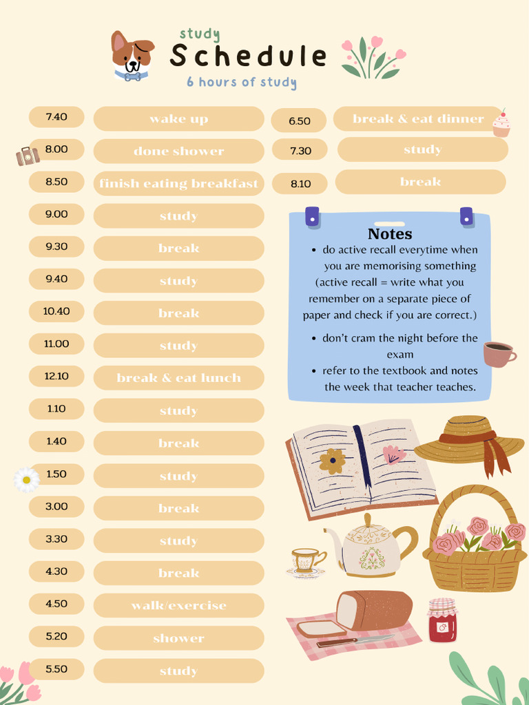 Study schedule | PDF
