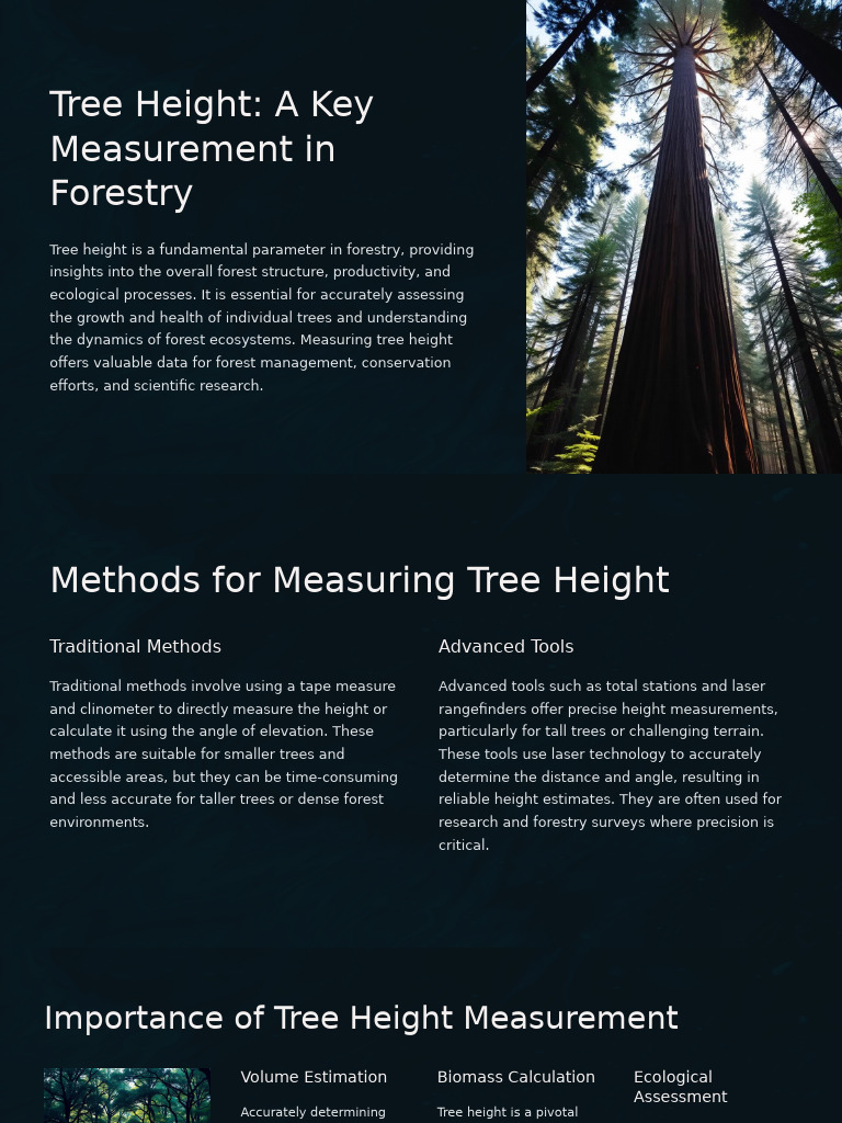 Tree Height Measurement in Forestry | PDF | Forests | Trees