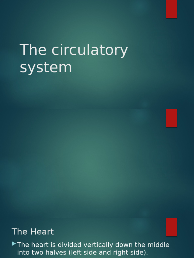 Chap 7 - The Circulatory System | PDF | Heart | Circulatory System