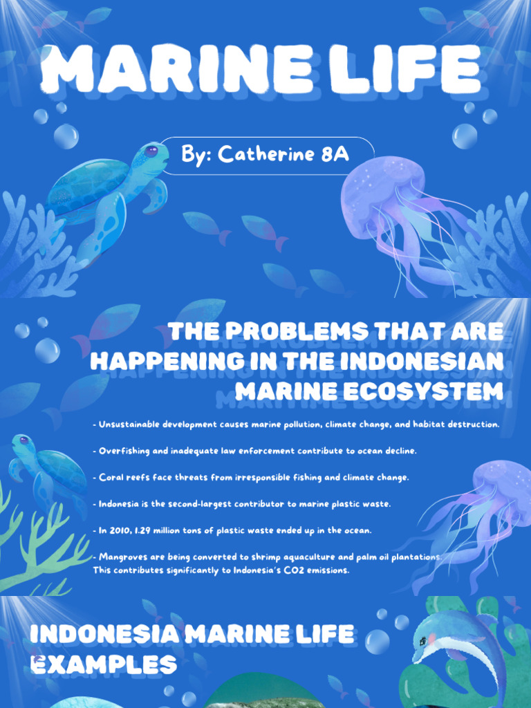 Indonesia Marine Life PPT - 20240920 - 103321 - 0000 | PDF