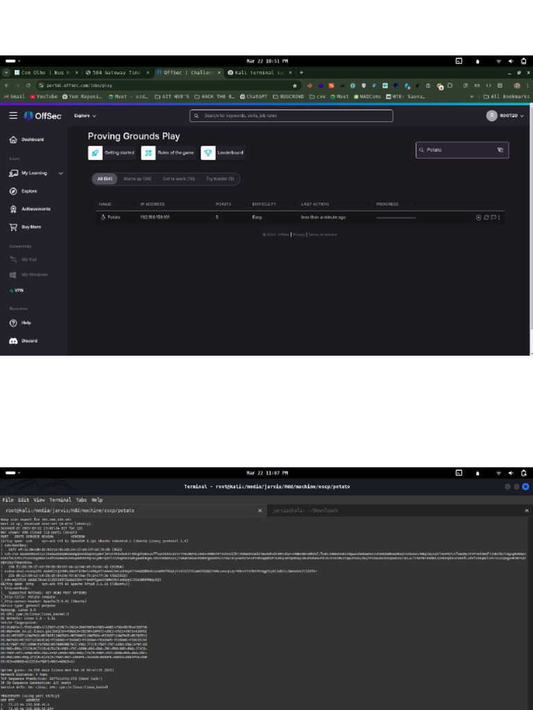 Potato Walkthrough PG Play | PDF