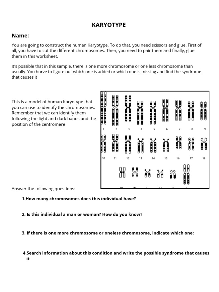 Human Karyotype Construction Activity | PDF