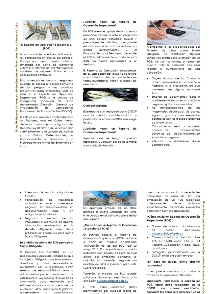 Plegable para Tenedores de Libros Sobre El ROS - 1672293861 | PDF ...