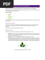Leaf Dichotomous Key | PDF | Leaf | Branches Of Botany