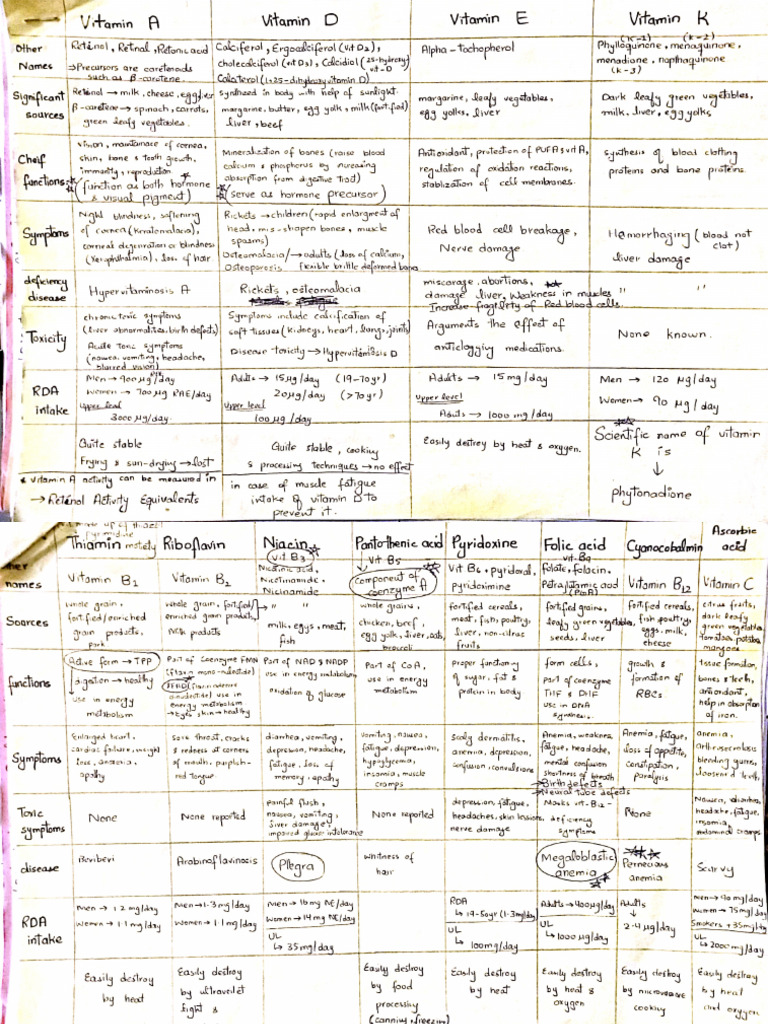Vitamins (Complete Key) | PDF