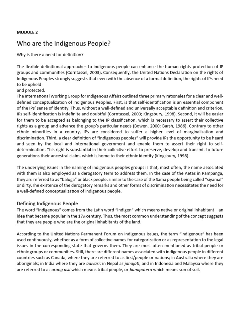 Understanding Indigenous Peoples' Identity | PDF | Indigenous Peoples ...