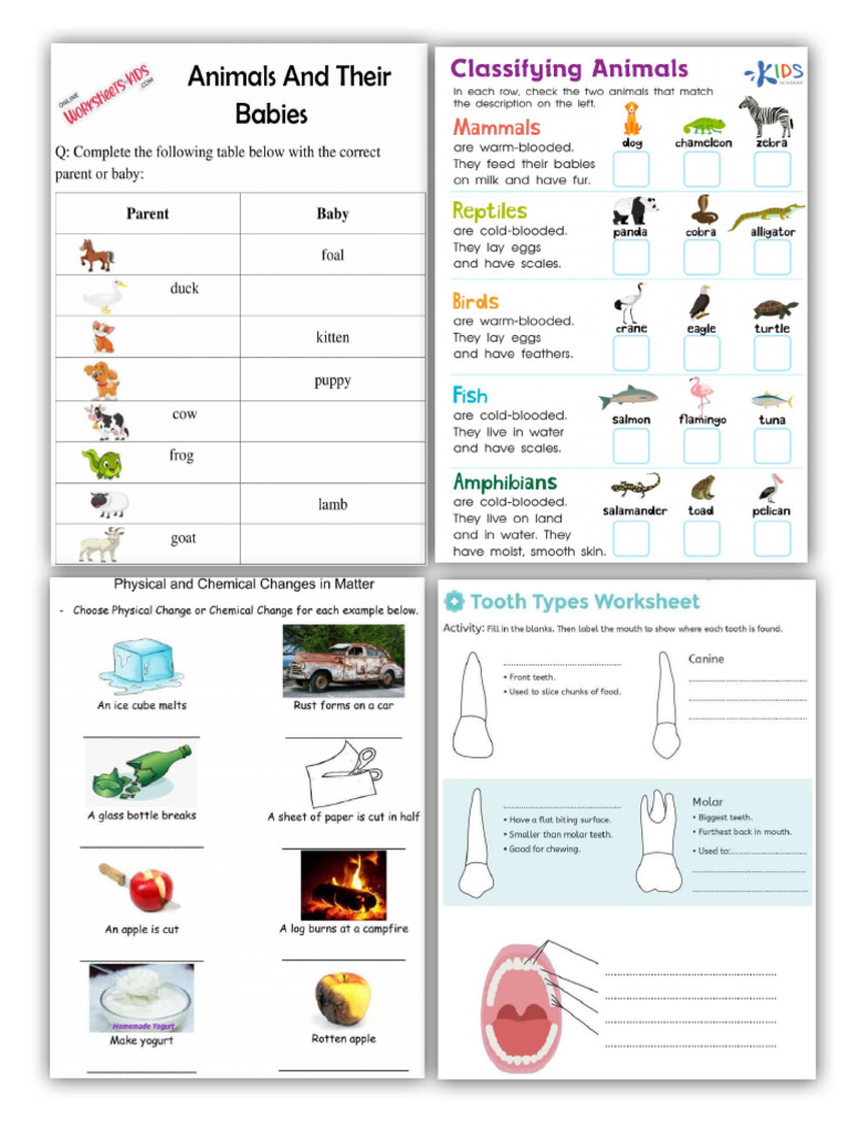 Grade 2 Assignment | PDF