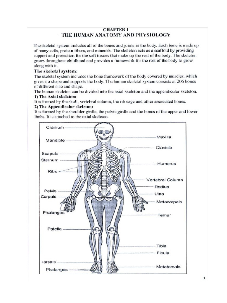 GR 9 Biope HN 2020 | PDF