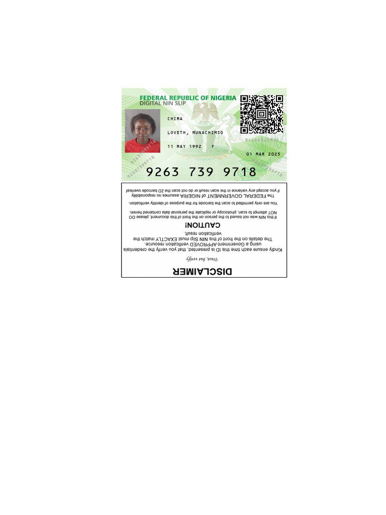 Premium NIN Slip Instructions | PDF