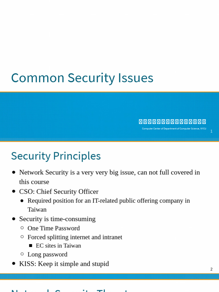 09 Common Security Issue | PDF | Denial Of Service Attack | Security