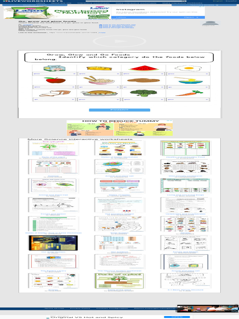 Go, Grow and Glow Foods Worksheet | PDF