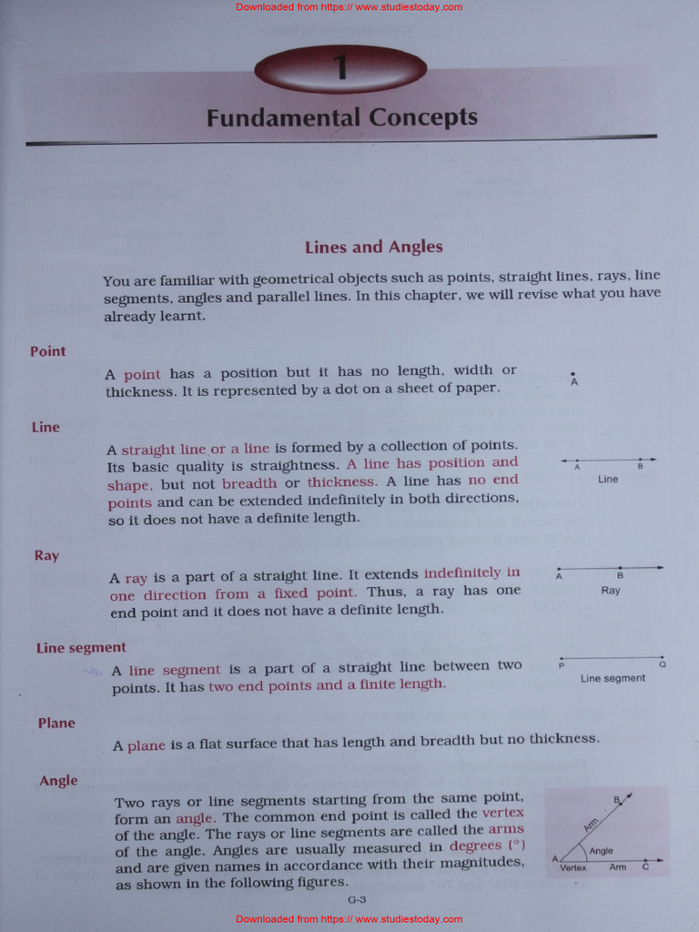 ICSE Class 8 Maths Geometry Chapter 01 Fundamental Concepts | PDF