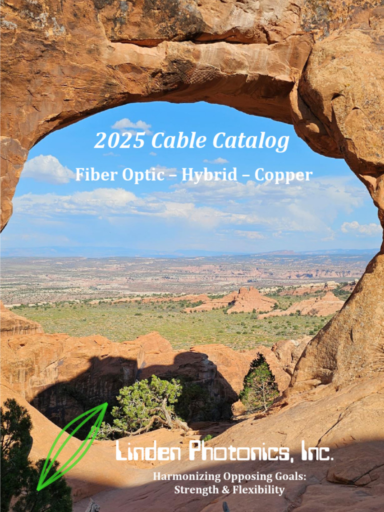 LPI Cables Catalog 2025 | PDF | Optical Fiber | Buoyancy