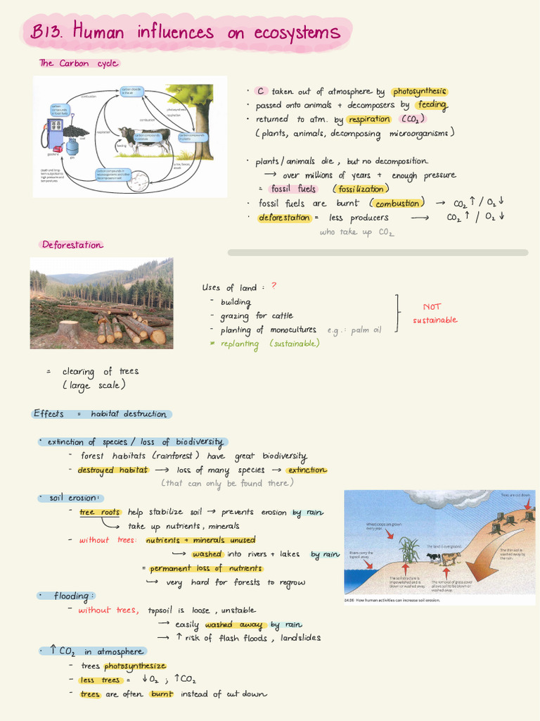 B13. Human Influences On The Ecosystem | PDF