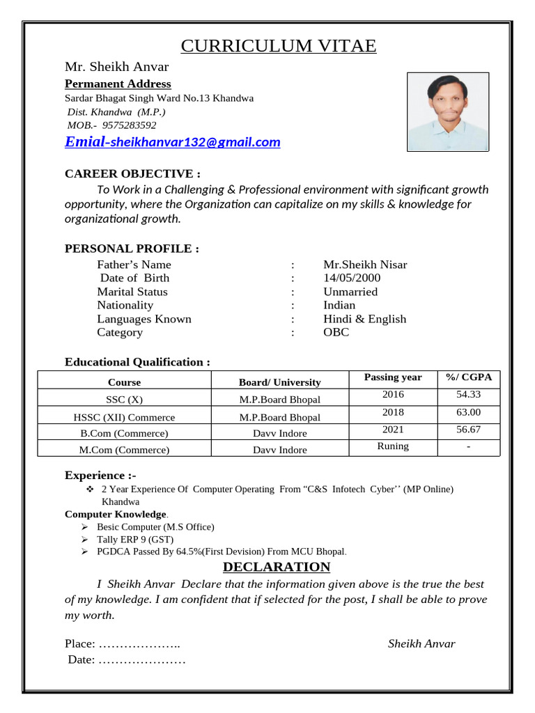 Anvar Sheikh Resume | PDF