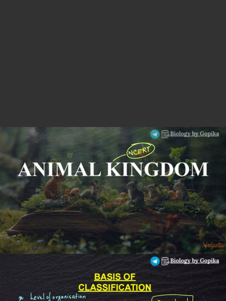 Animal Kingdom Notes Zero To Hero | PDF