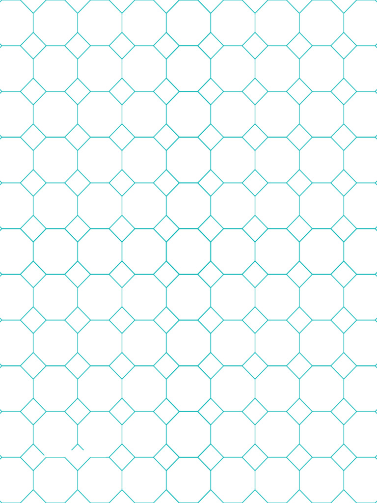 Octagon Portrait Letter 1 | PDF