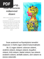 Insan Vucudu Ve Evren Arasindaki Benzerlikler | PDF