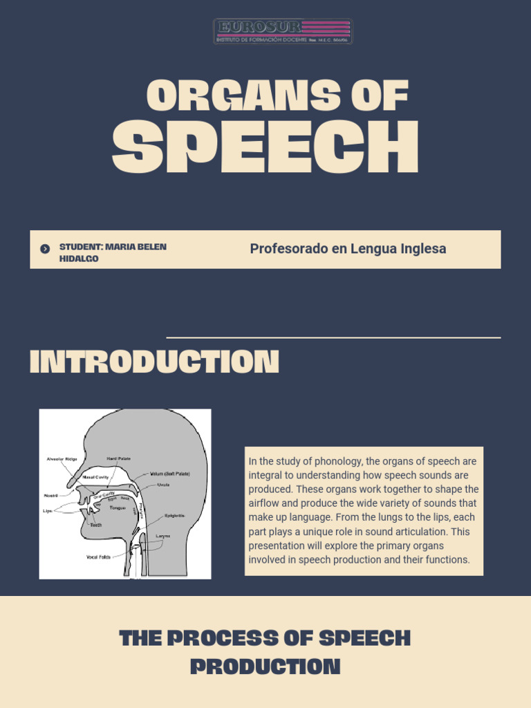 Organs of Speech in Phonology | PDF | Phonetics | Human Voice