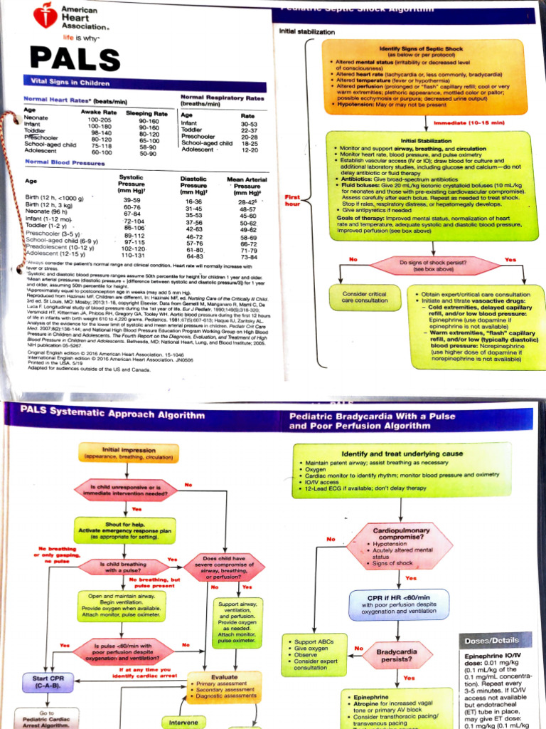 PICU EMERGENCY PROTOCOLS DRUGS | PDF | Blood Pressure | Medicine
