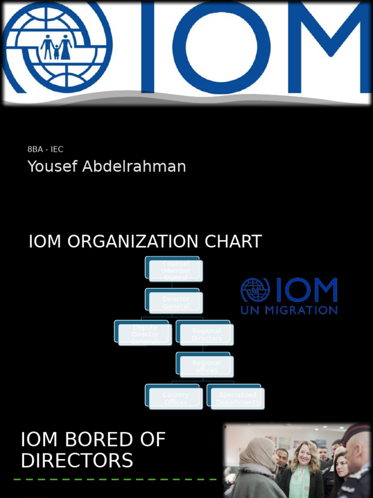IOM International Organization of Migration | PDF