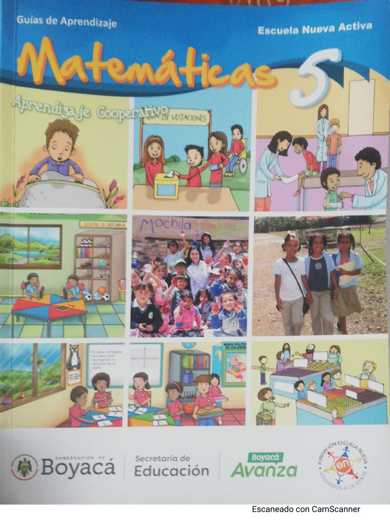 Matemáticas 5 | PDF