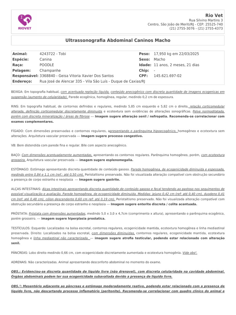 Ultrassonografia Abdominal Canino Tobi | PDF | Abdômen | Gastroenterologia