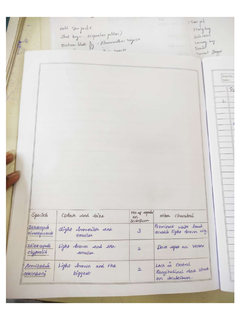 1 5 Compressed | PDF