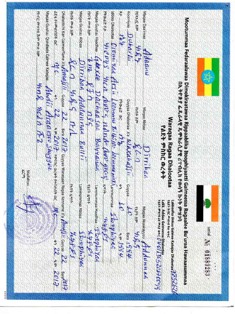 Adanu Birth Certificate | PDF