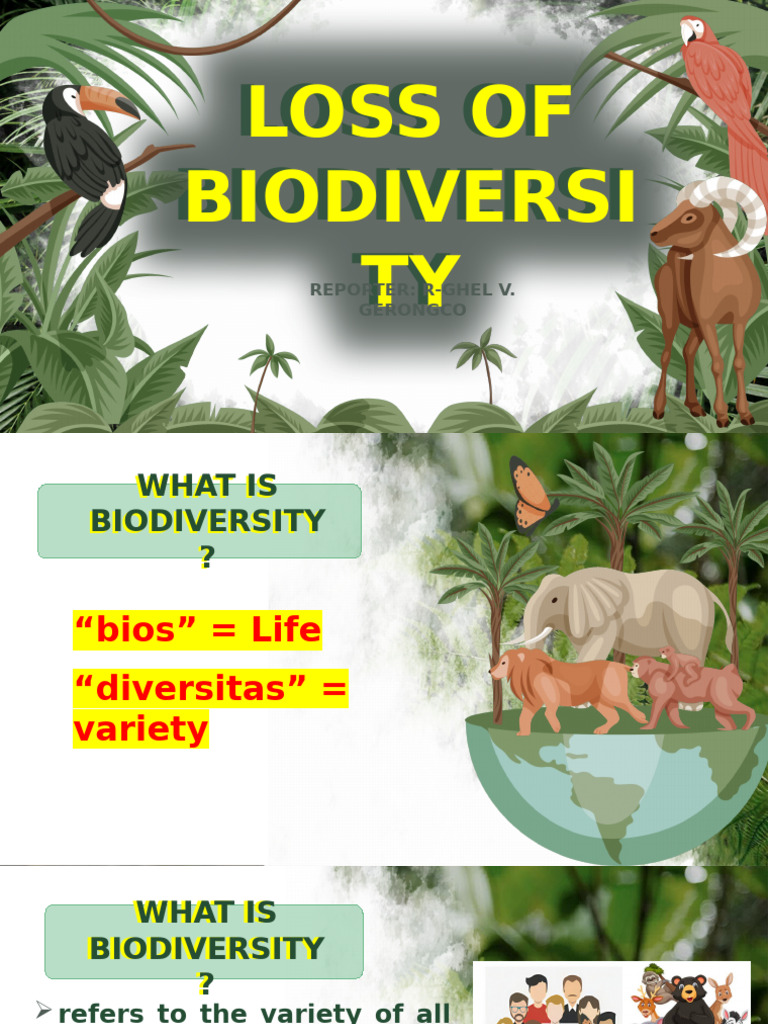 Chapter 8 - Part 3 - Loss of Biodiversity | PDF