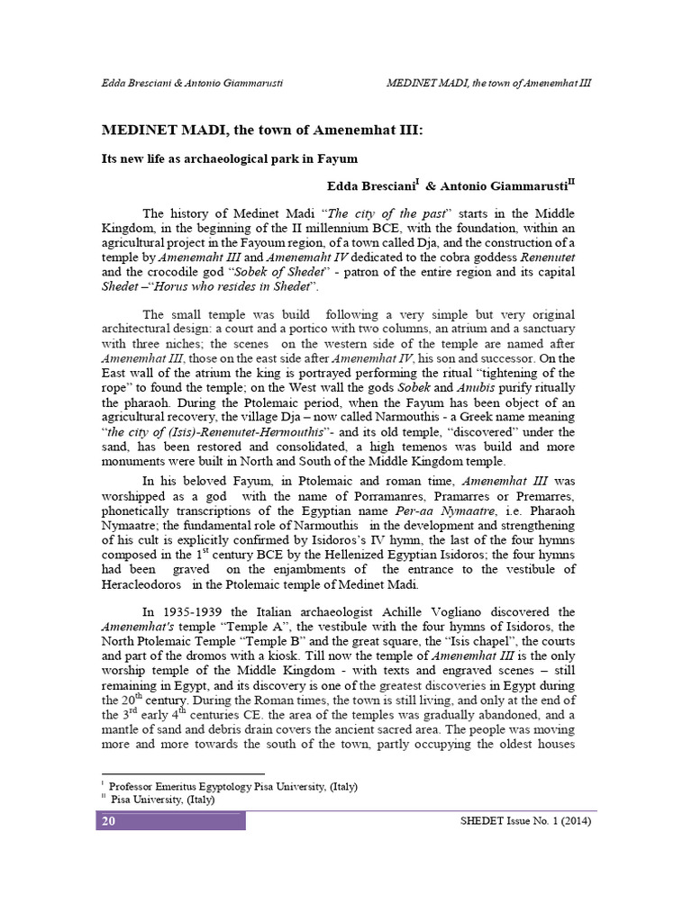 MEDINET MADI The Town of Amenemhat III Its New Lif | PDF
