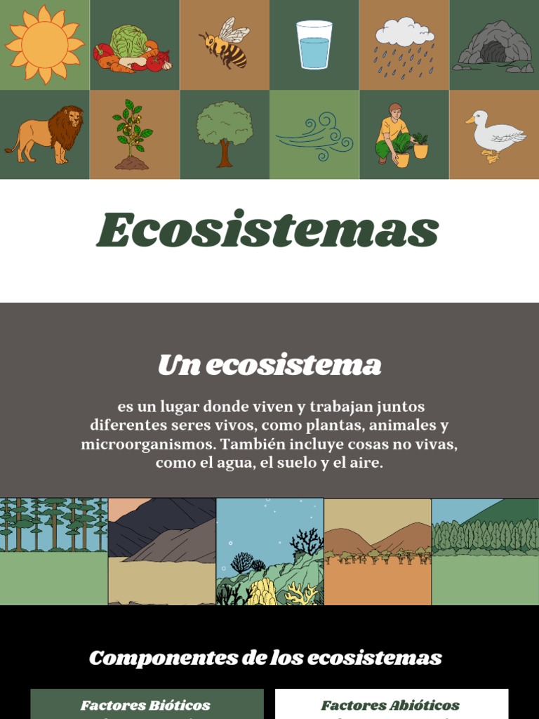 Presentación de Ecosistema | PDF