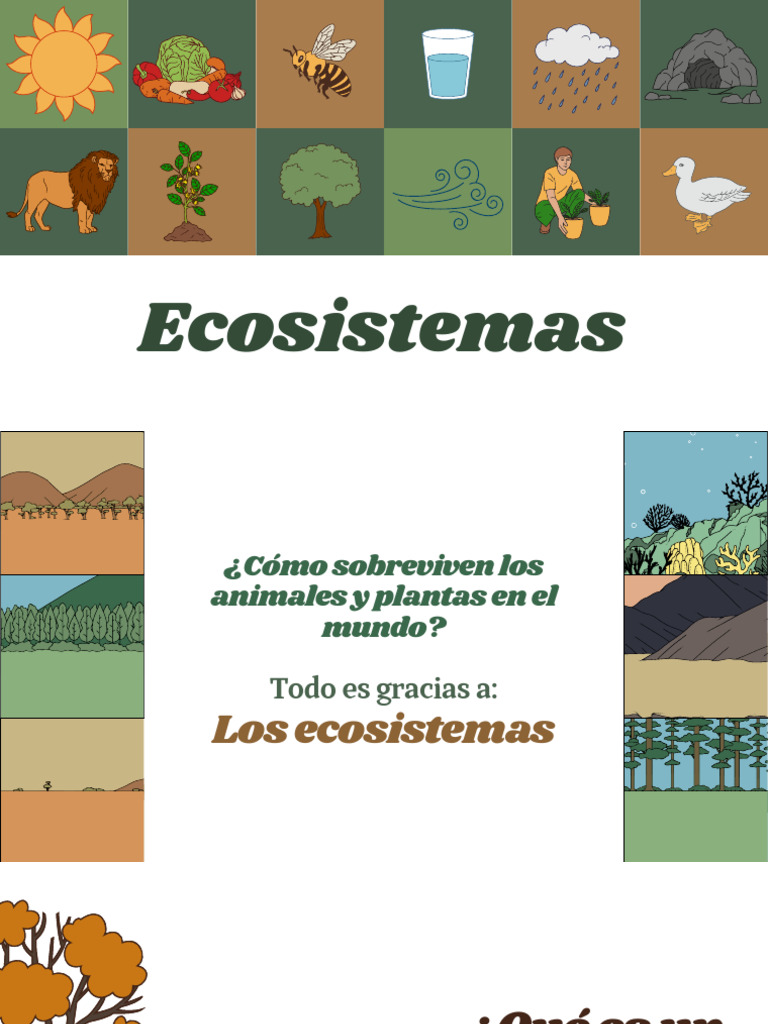 Presentación Educativa Sobre Ecosistemas Ilustrado Colorido - 20250331 - 204541 - 0000 | PDF ...