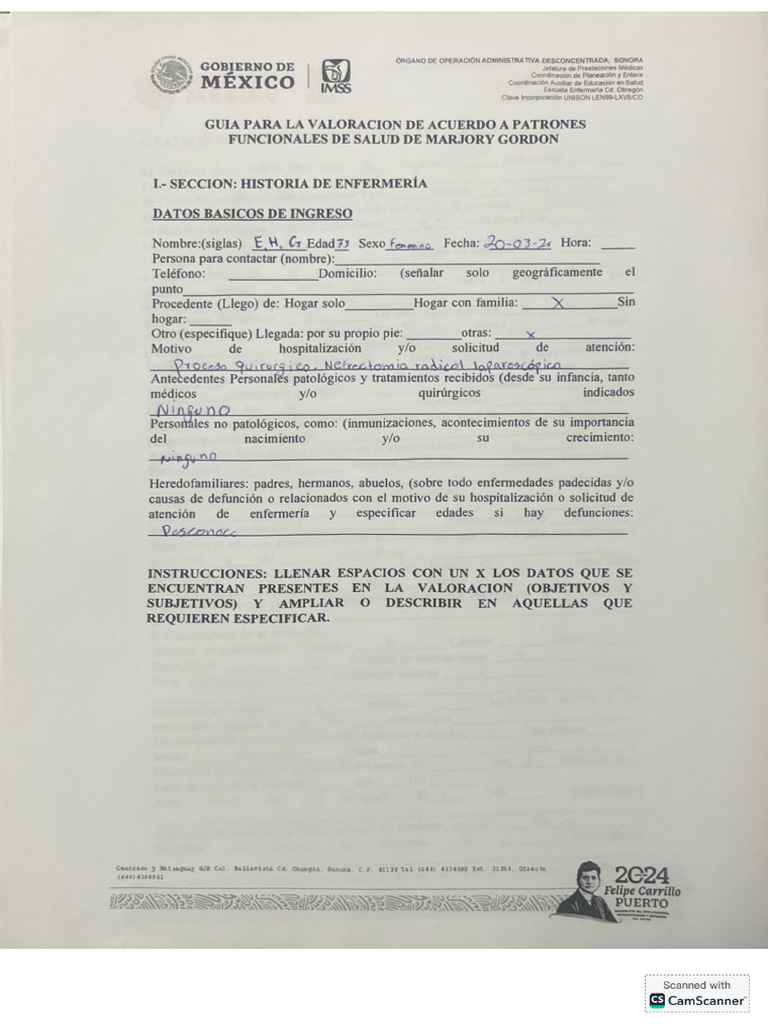 Guia Nefrectomia Radical | PDF