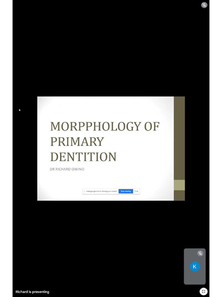 Primary Tooth Morphology | PDF