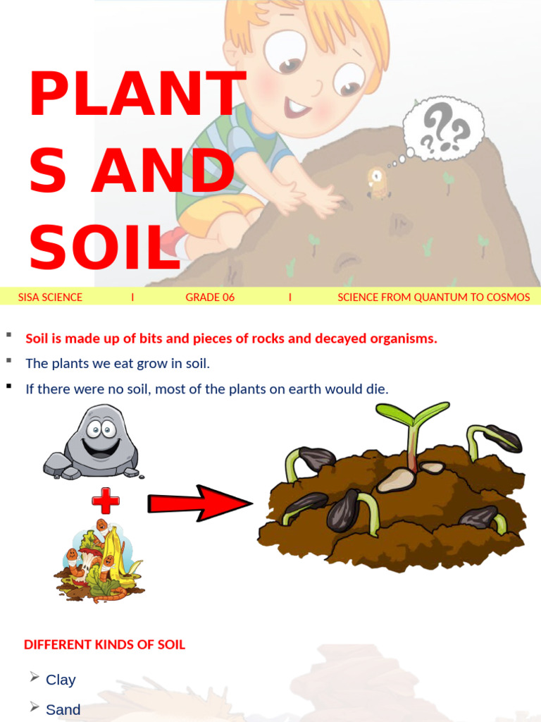 Lesson Note 6 Interdependence and Adaptations Plants and Soil | PDF ...